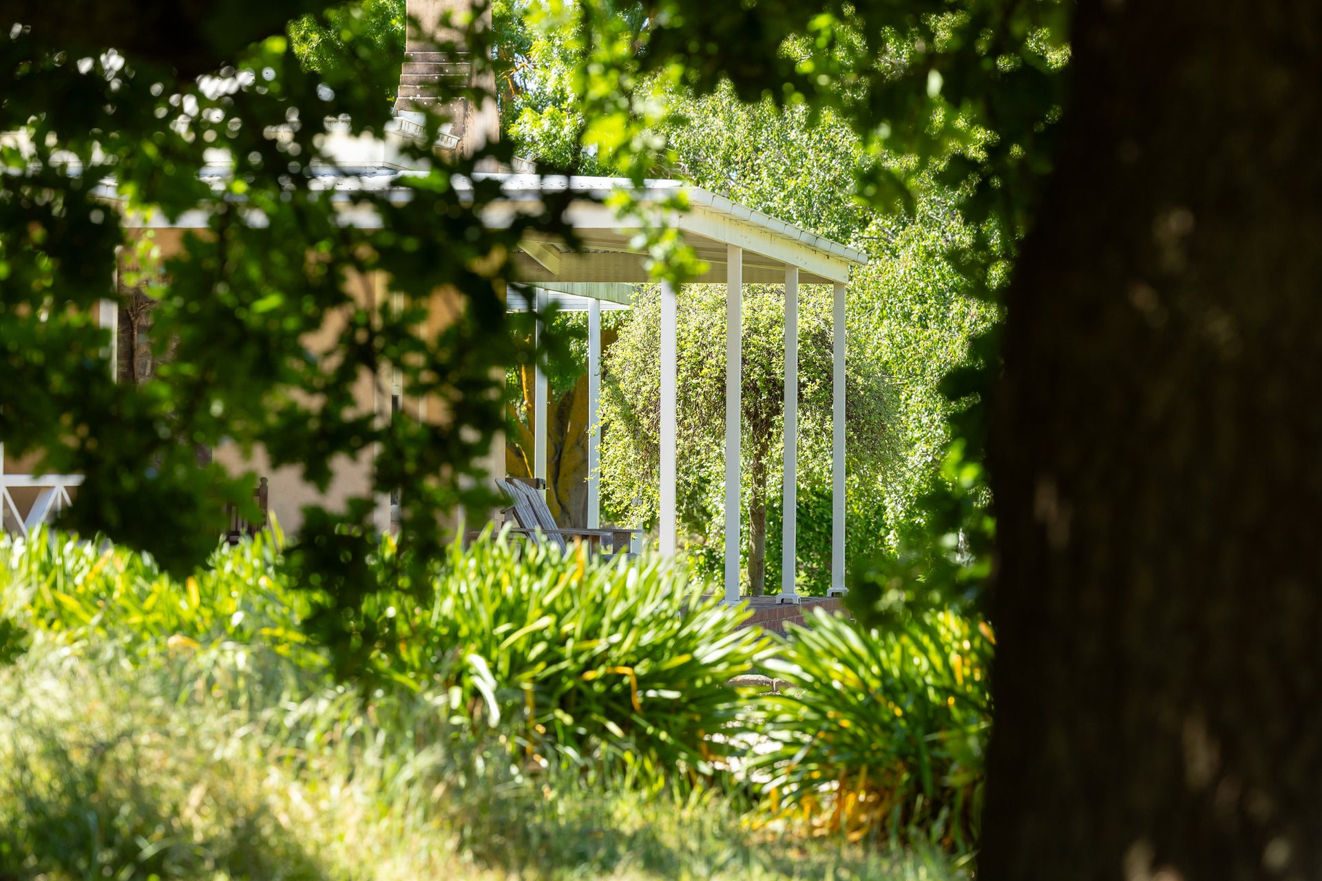 CBRE Case Study – The Ground We Walk On